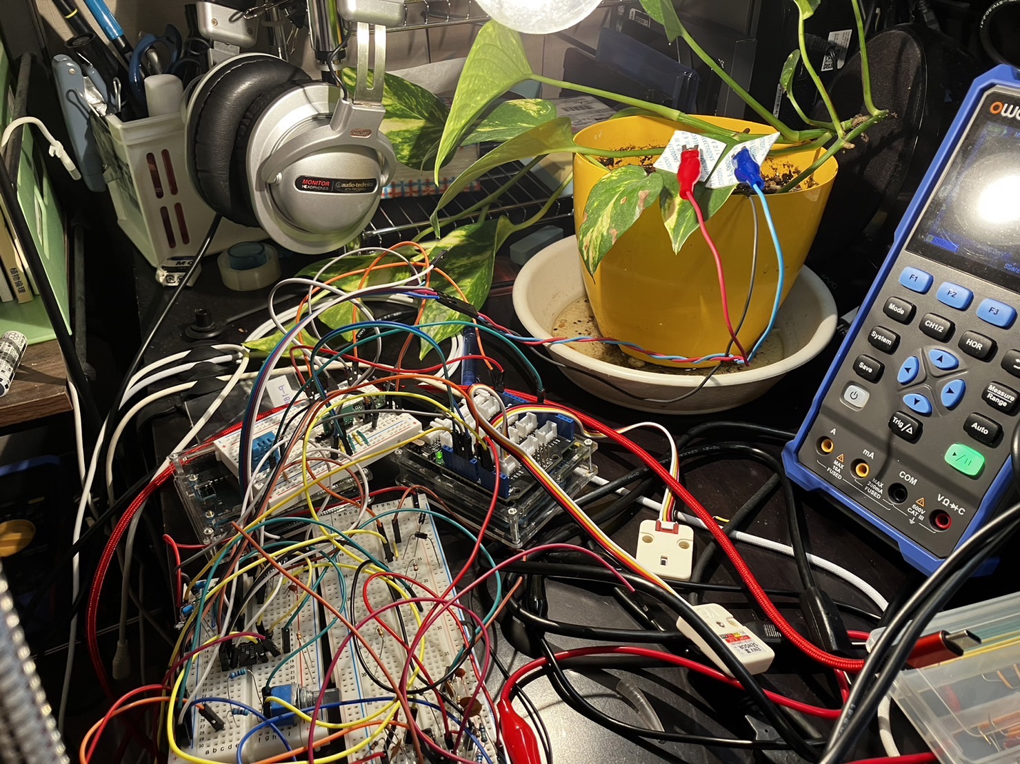 AMC Youtube Live配信週間 | AMC Lab